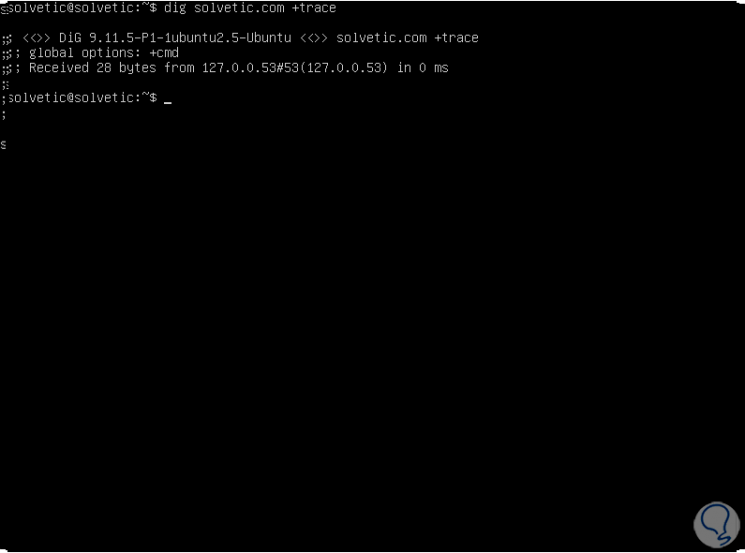 DIG Linux command DNS options and examples