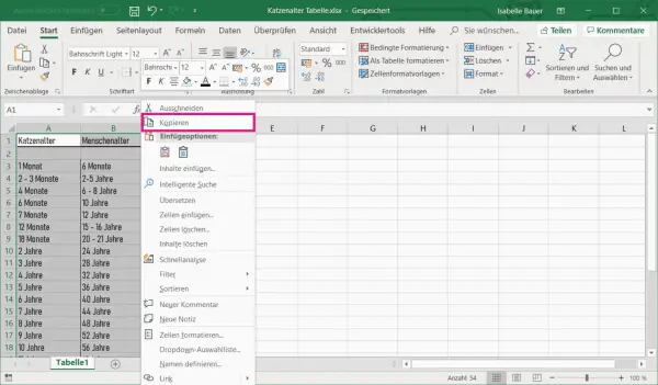 Insert Excel Table Into PowerPoint TechnoWikis